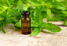 Homemade Peppermint Infused Oil Free Stock Photo - Public Domain Pictures