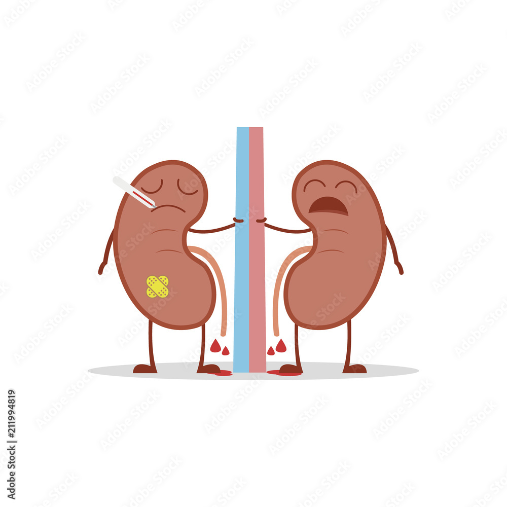 Vector illustration of a sick and sad kidneys in cartoon style due to ...
