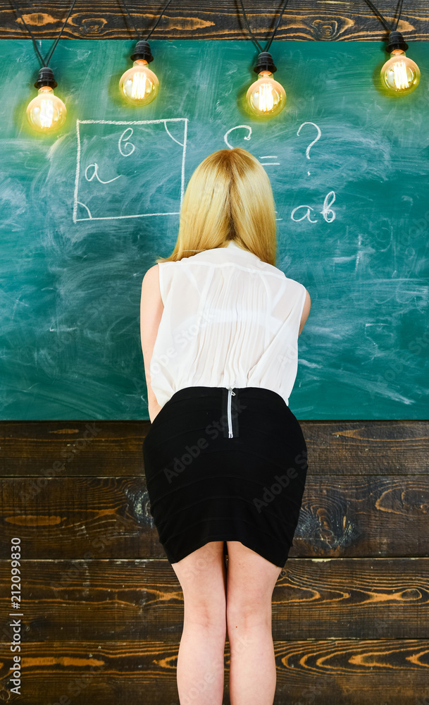 Lady sexy teacher in short skirt with zip on back explaining formula ...