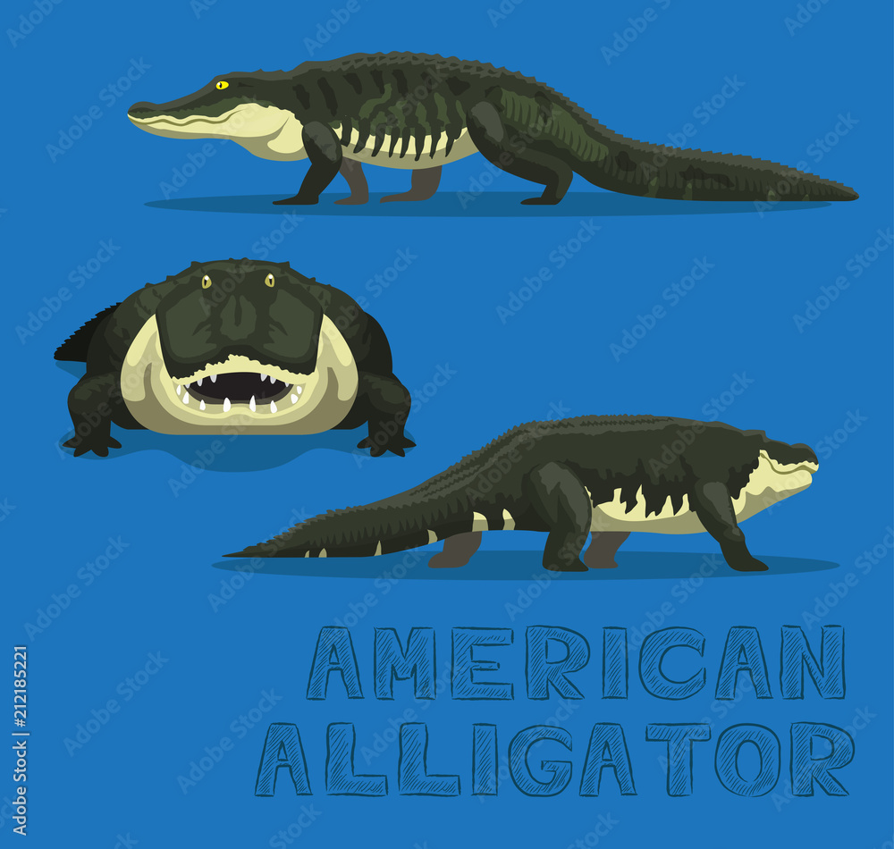 American Alligator Cartoon Vector Illustration Stock Vector | Adobe Stock