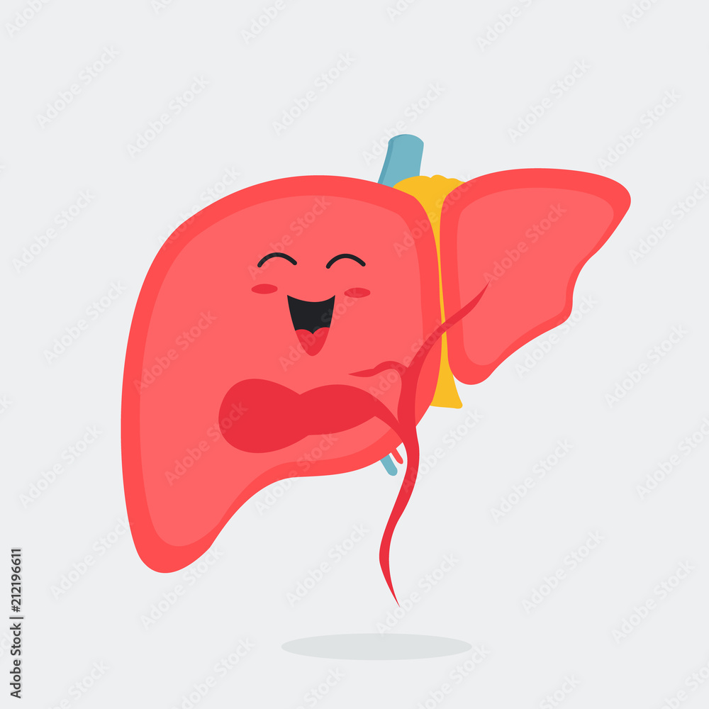 Happy healthy liver organ. Stock Vector | Adobe Stock