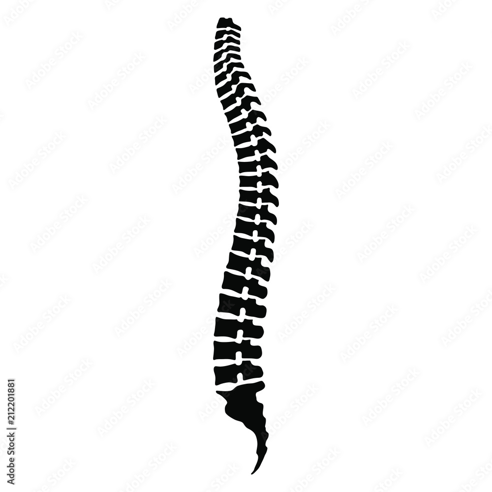 Human spine sign. Black icon spine isolated on white background. Human ...