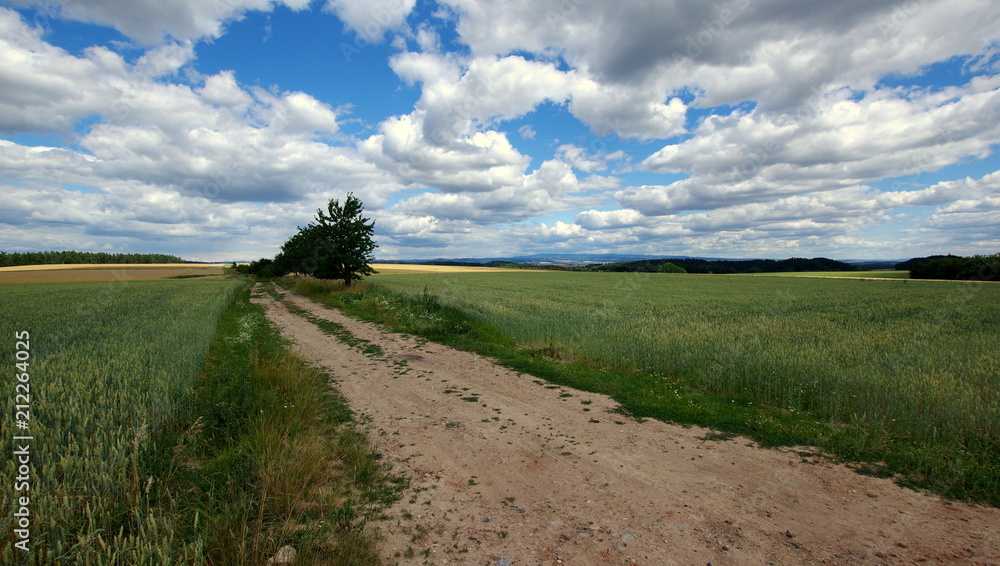 Foto de Stock Polna droga przez urodzajne polskie pola - uroki ...