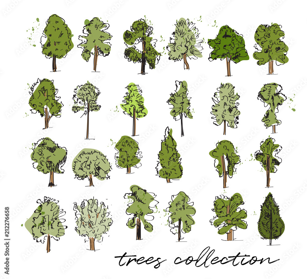 trees vector watercolor sketch collection. hand drawn trees ...