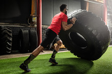Strongman Training Free Stock Photo - Public Domain Pictures