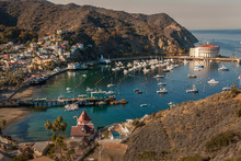 Avalon, Catalina Free Stock Photo - Public Domain Pictures