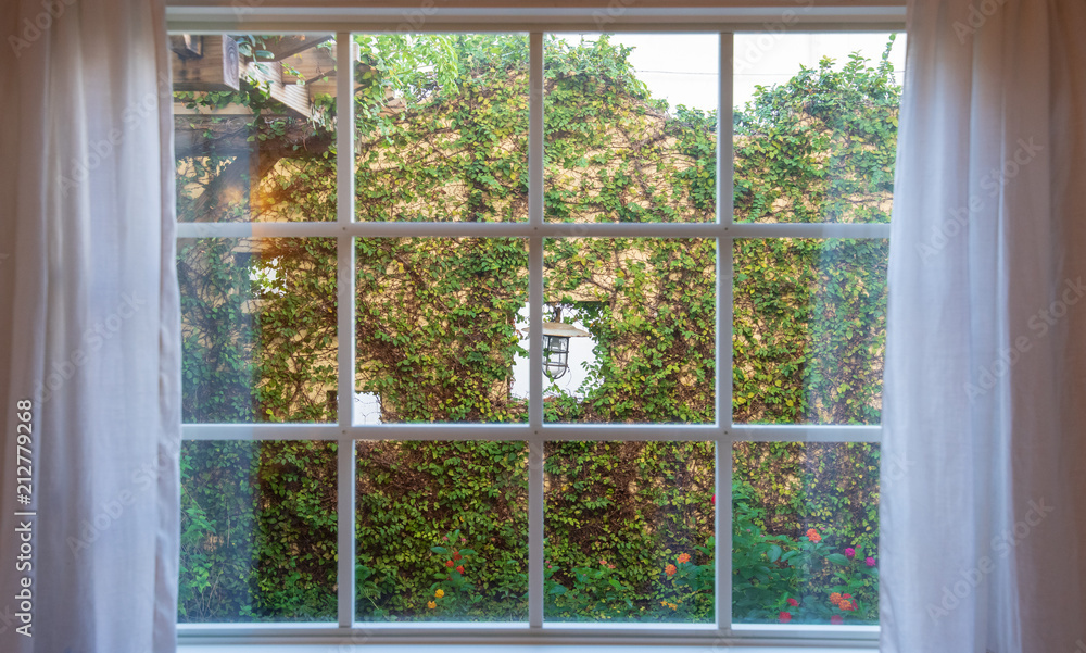 beautiful scene outside the windows Stock Photo | Adobe Stock