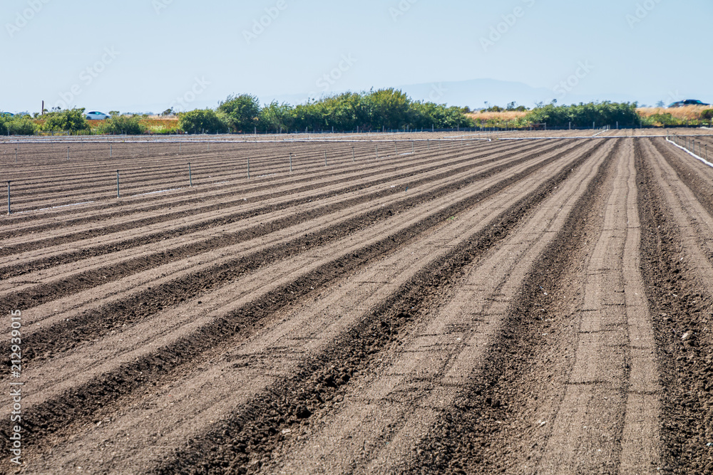 A plowed field is ready to plant. The long rows extend out at a ...