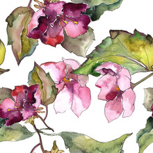 Floral Wallpaper Gardenia Flower Free Stock Photo - Public Domain Pictures