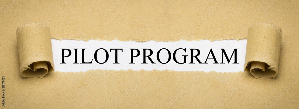 Pilot Program Stock Illustration | Adobe Stock