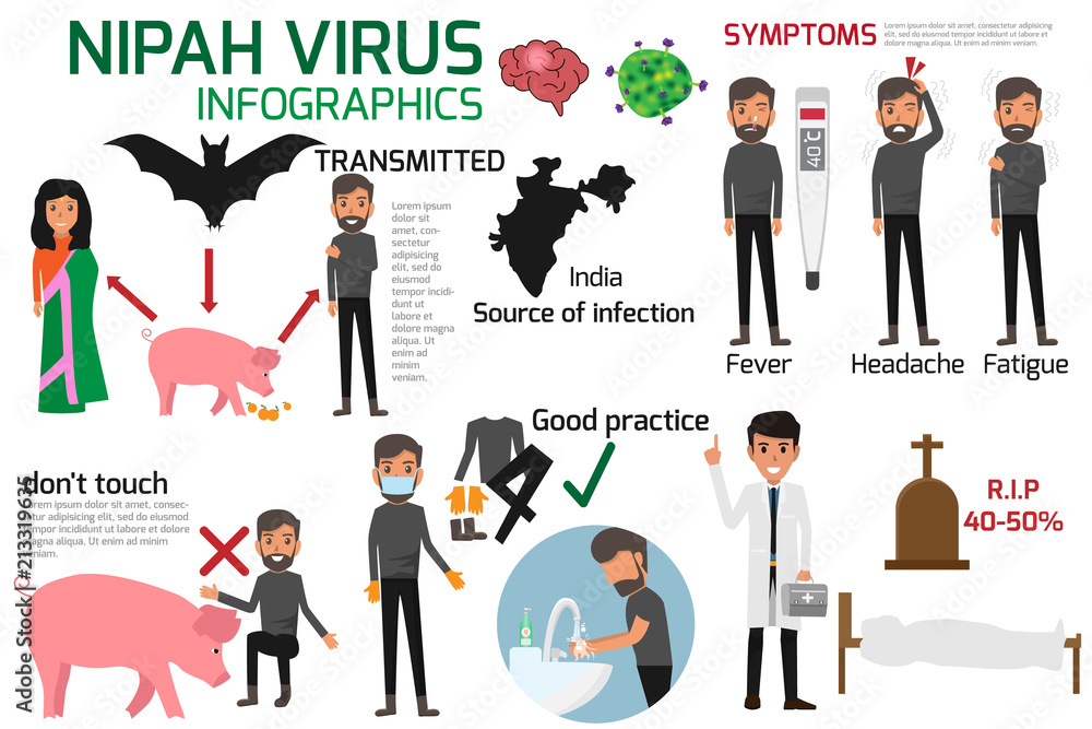 Nipah virus (niv) Infographics is a newly emerging zoonosis that causes severe disease in both ...
