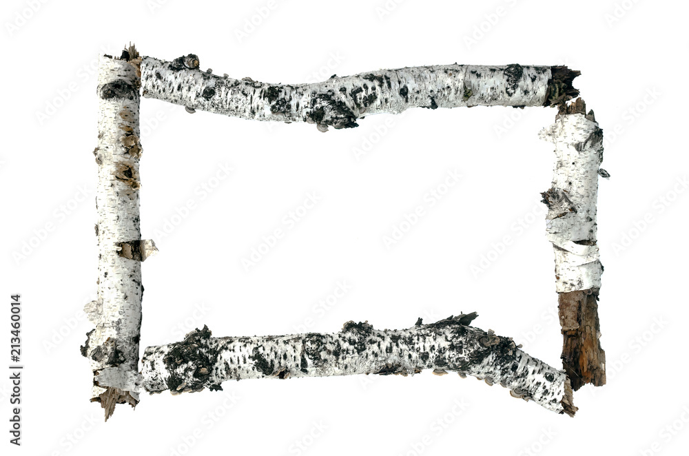 Dry birch tree branch frame border isolated on white background. Stock ...