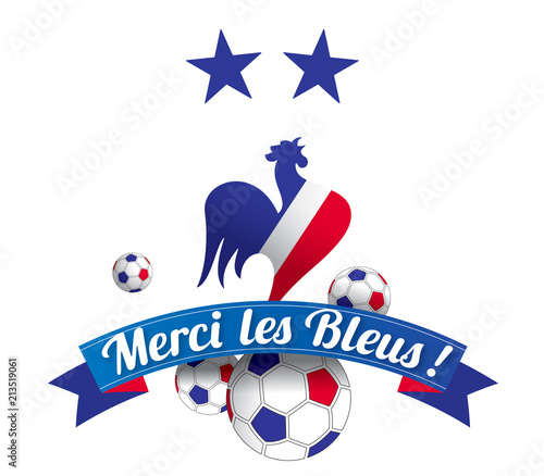 MERCI LES BLEUS AVEC 2 ÉTOILES (les copieurs: guillaume_photo et ...