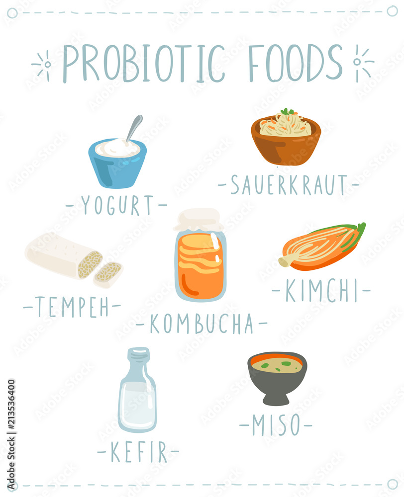 Vector set of hand drawn icons of natural Probiotic foods. Cartoon ...