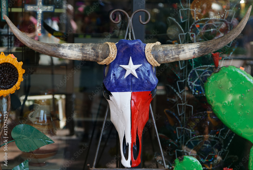Texas bull skull painted with texas colours Stock Photo | Adobe Stock
