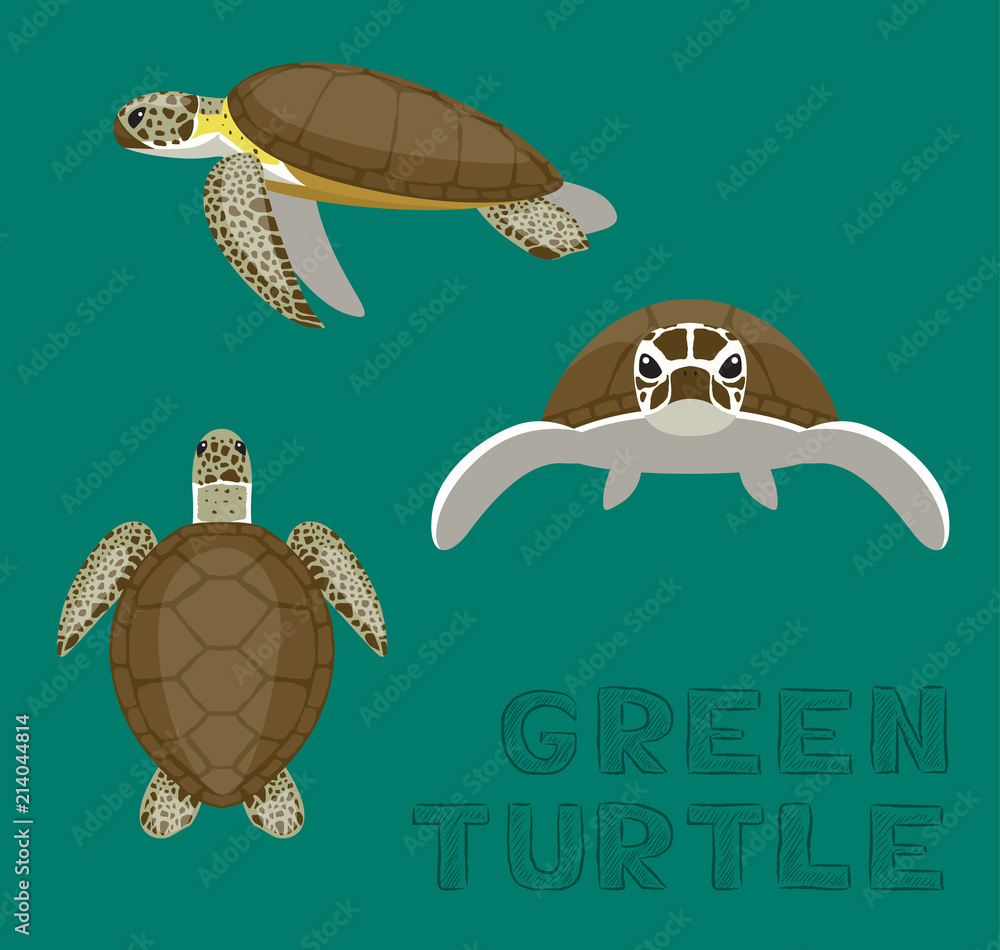 Sea Green Turtle Loggerhead Cartoon Vector Illustration Stock Vector ...