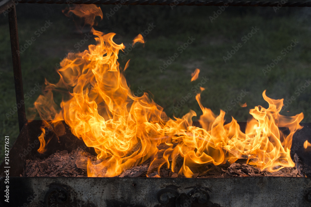 Flaming fire. Documents burning. Dance of fire spirits. Ignition of ...