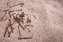 Rusty Nail On Ground Free Stock Photo - Public Domain Pictures