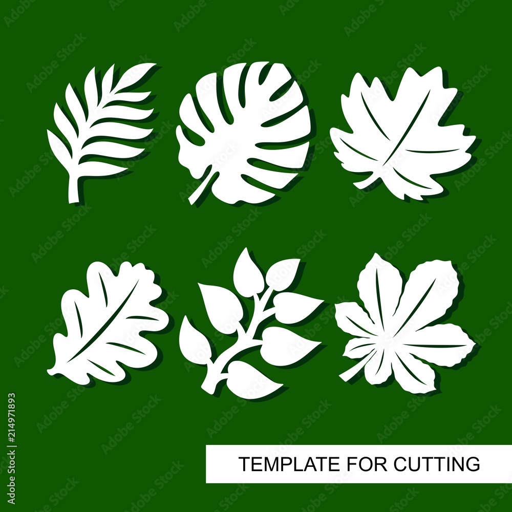 Palm Leaf Cut Out