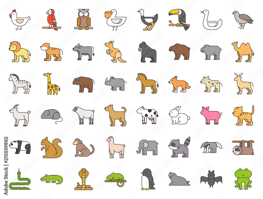 Big set of safari, arctic, forest animal and bird such as tiger, seal ...