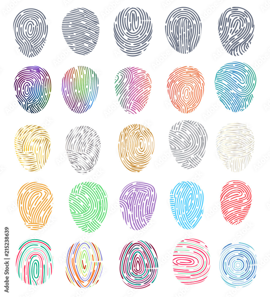 Fingerprint vector fingerprinting identity with fingertip ...