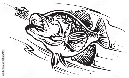 Crappie Stock Vector | Adobe Stock