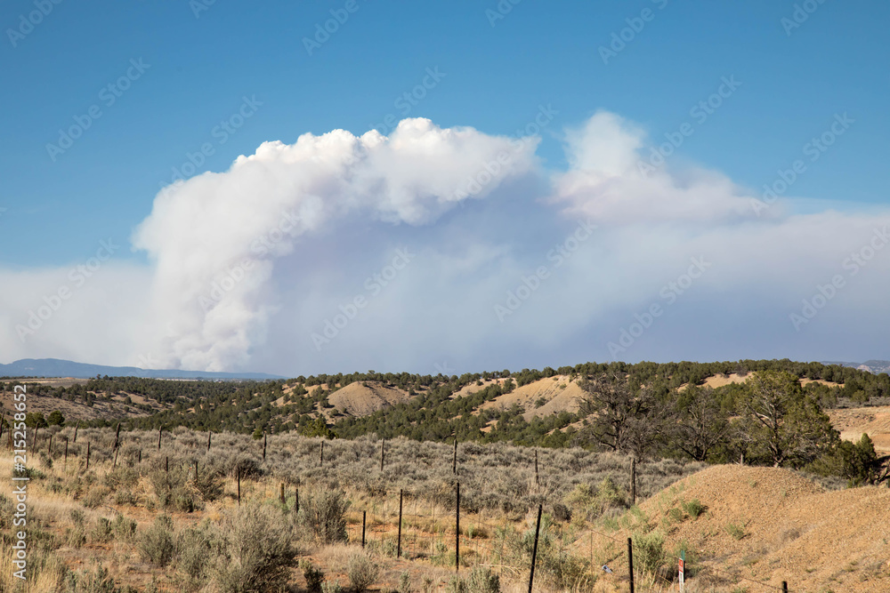 Column of smoke from the 416 forest fire near Durango, Colorado Stock ...