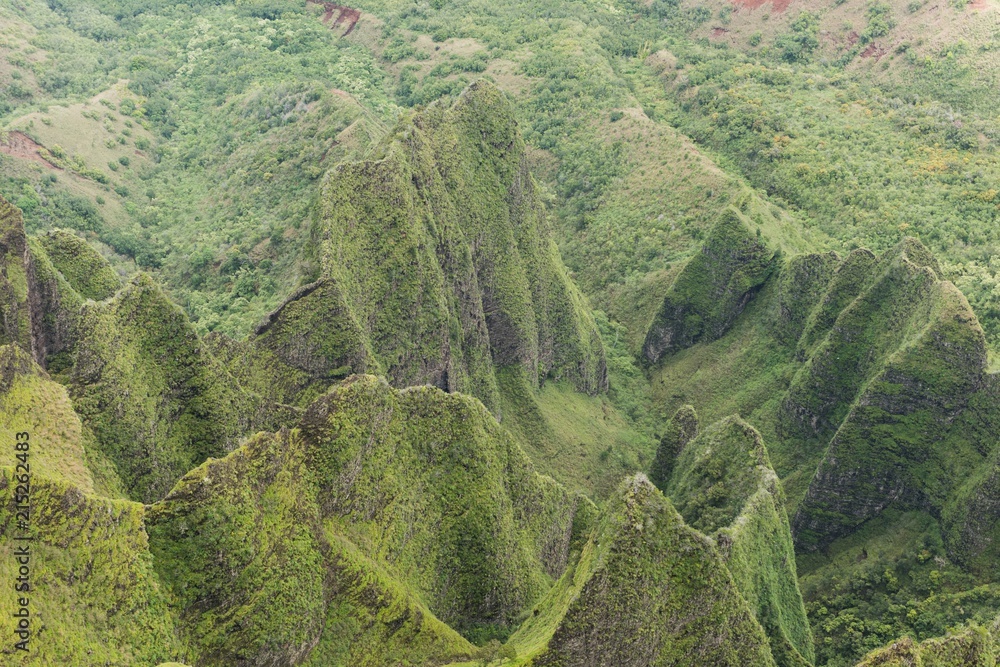 Lush mountain ranges in Na Pali Coast State Park Stock Photo | Adobe Stock