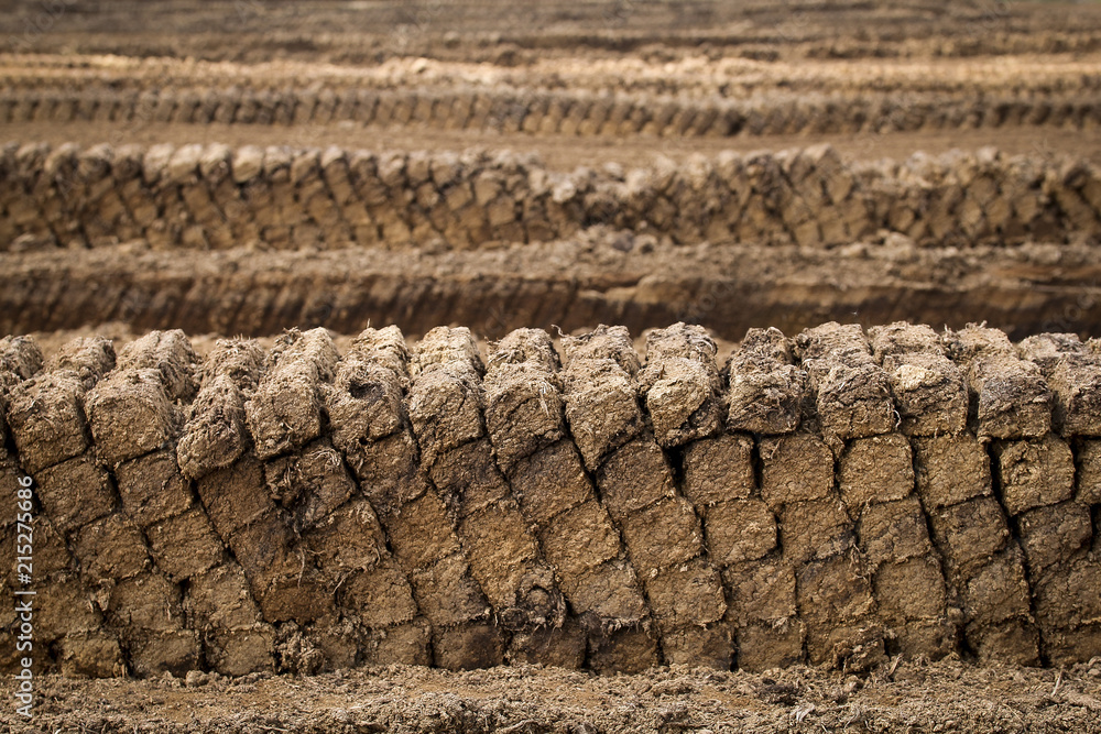 peat extraction, turf blocks piled up to dry, industrial nature ...