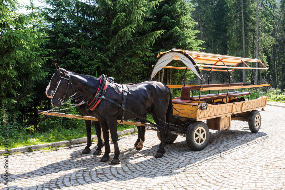 Pferdekutsche für Touristentransport zum Morskie Oko;Hohe Tatra; Polen ...