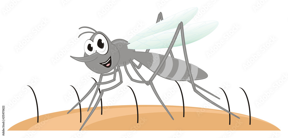 mosquito, insect, pest, bloodsucker, beetle, buzzing, cartoon, skin ...