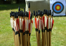 5 Arrow Fletchings Free Stock Photo - Public Domain Pictures