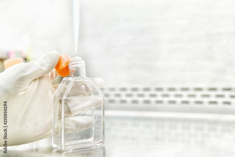 Foto de Stock The women researcher using pipette and cell culture flask ...