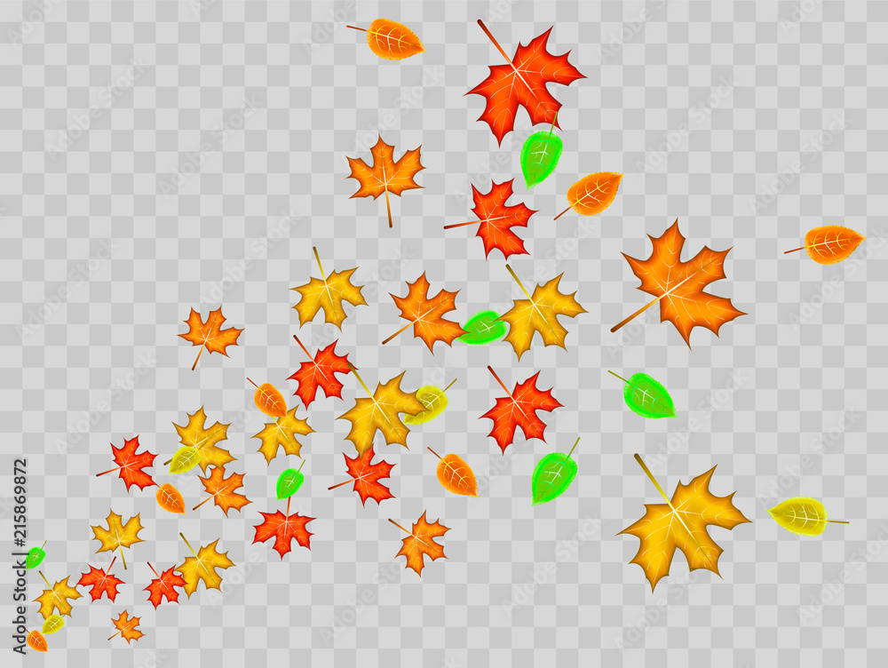 Vortex made from colorful maple and tree leaves on transparent ...