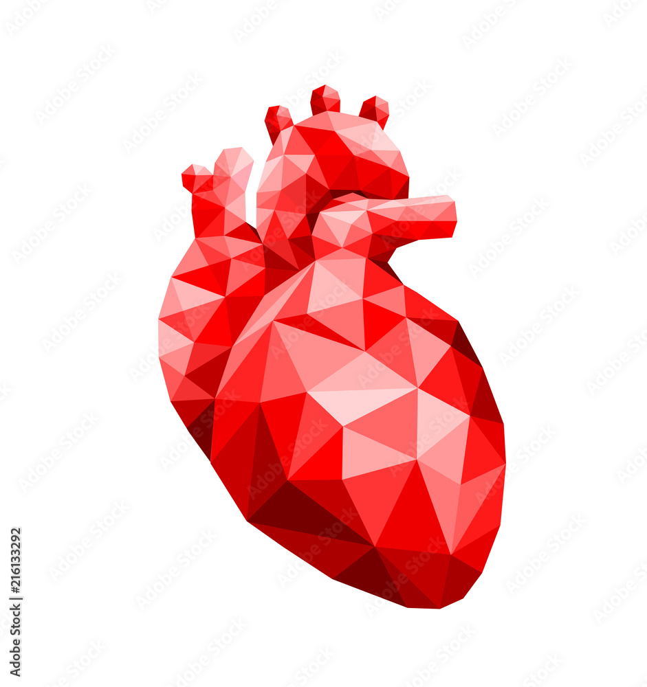 polygonal art of human heart design. faceted low-poly geometry effect ...
