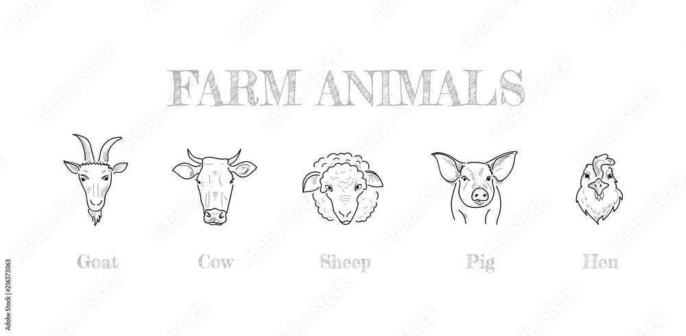 Farm animals hand drawing Stock Vector | Adobe Stock