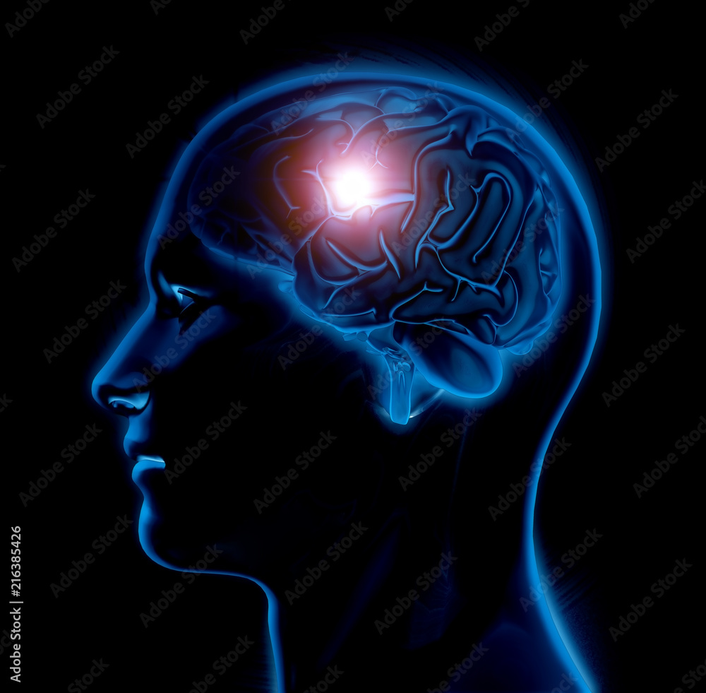 3D male medical figure with brain highlighted Stock Illustration ...