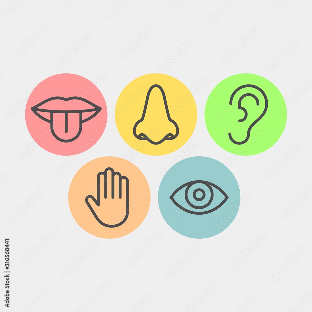 Sense organs flat vector icons Stock Vector | Adobe Stock
