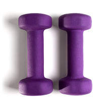 Purple Weights Free Stock Photo - Public Domain Pictures