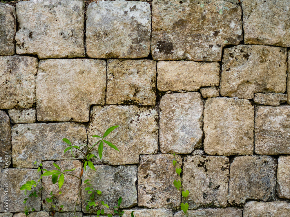 Interlocking stone wall of a Mayan temple in the Mexican jungle Stock ...