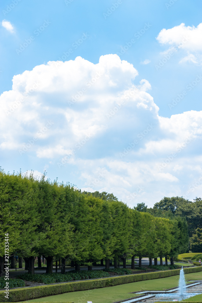 Showa Memorial Park in Tachikawa-city, Tokyo, Japan Stock Photo | Adobe ...