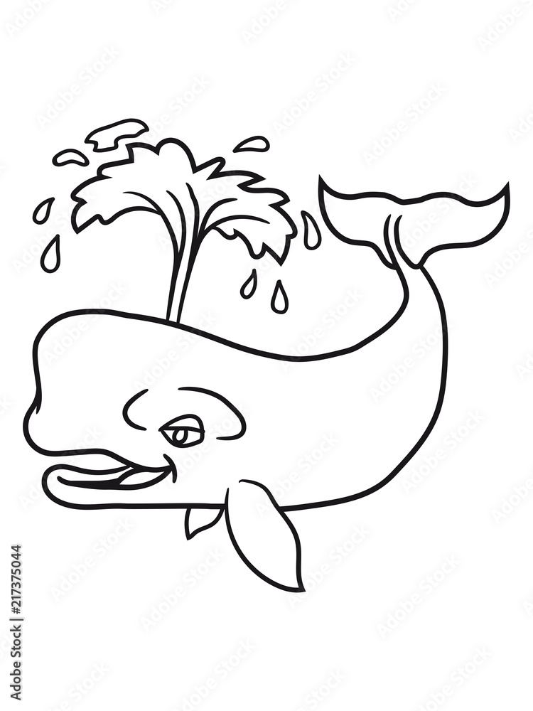 wasser spritzen fontäne grauwal blauwal pottwal buckelwal wal ...