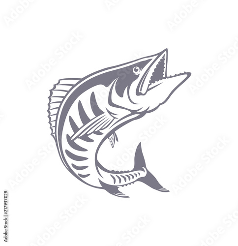 king mackerel - Buy this stock vector and explore similar vectors at ...