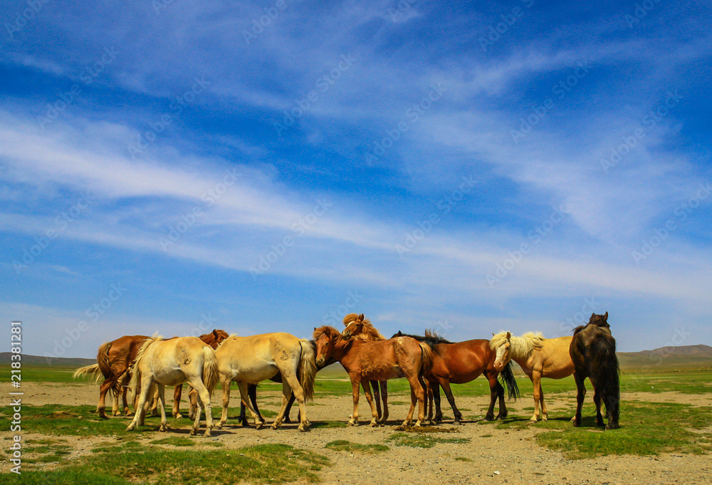 Gobi Desert, Mongolia - one of the largest deserts in the World ...