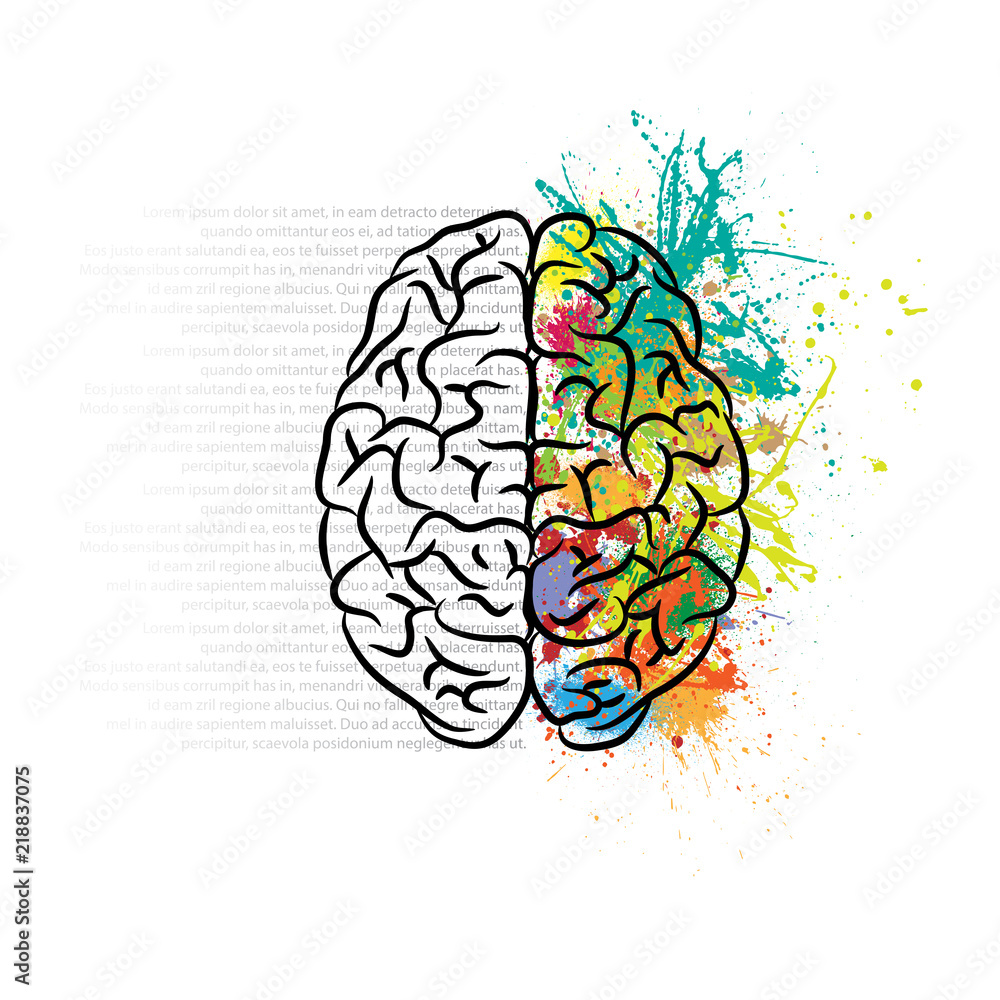 Brain left and right Stock Vector | Adobe Stock