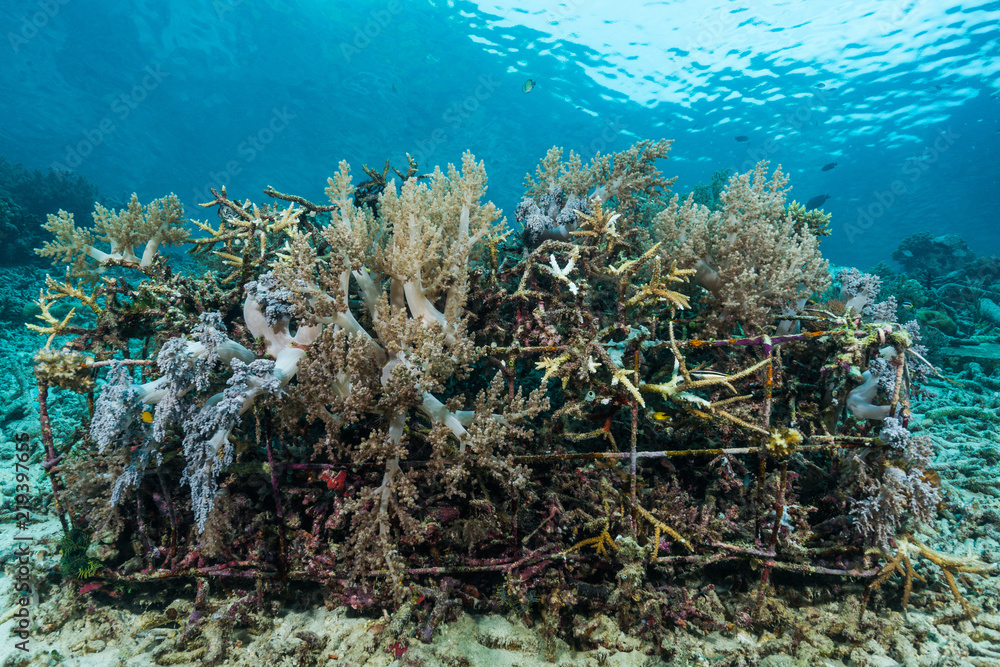 man-made artificial reef with metal struture and concrete to help ...