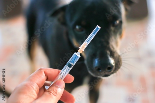 Vaccine Rabies Bottle and Syringe Needle Hypodermic Injection ...