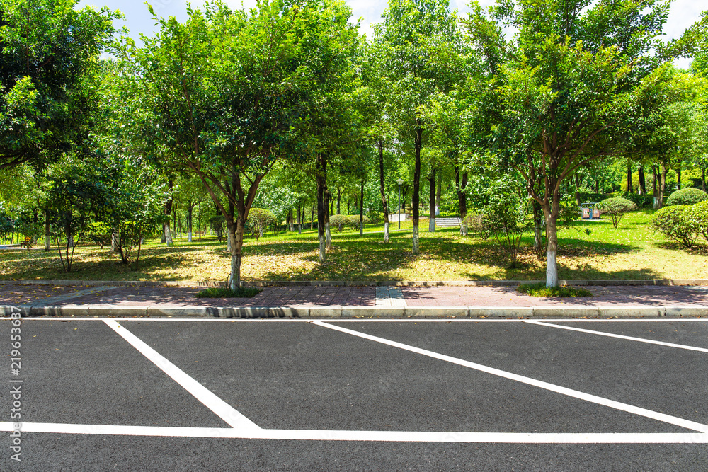 Urban open-air parking lot and park trees landscape in summer Stock ...