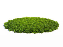 Round Shape Grass Garden Free Stock Photo - Public Domain Pictures