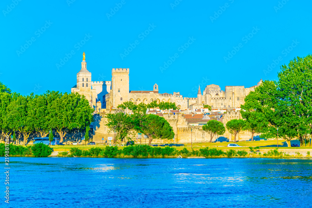 Cityscape of Avignon with Palais des Papes and Cathedral of Our Lady ...